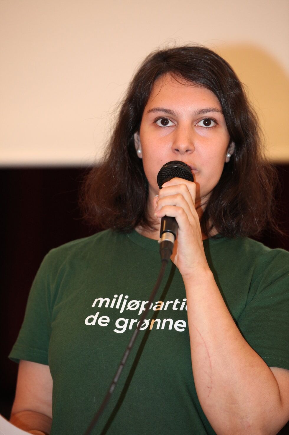 Hvordan skal dalen bygges?